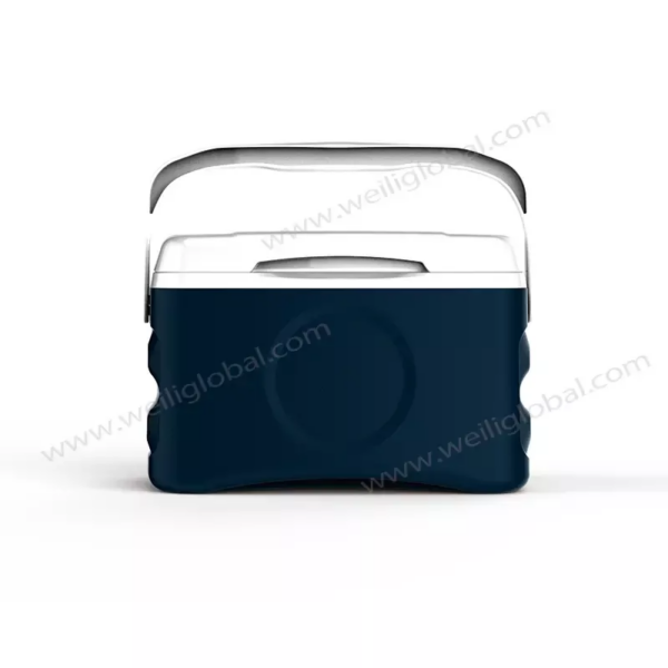 Exploring the Ingenious Technology Behind WEILI Global’s Portable Mini ...